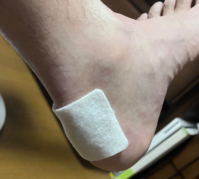 かがわマラソン: べがの馬ラン食日記